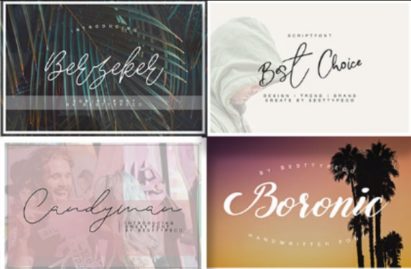 12 Elegant Fonts Modern Script Bundle Deal | Lifetimo.com