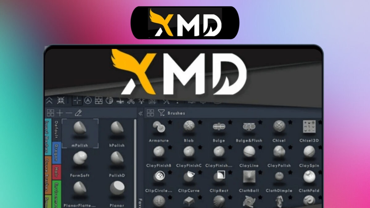 XMD Brushes Lifetime Membership | Lifetimo.com